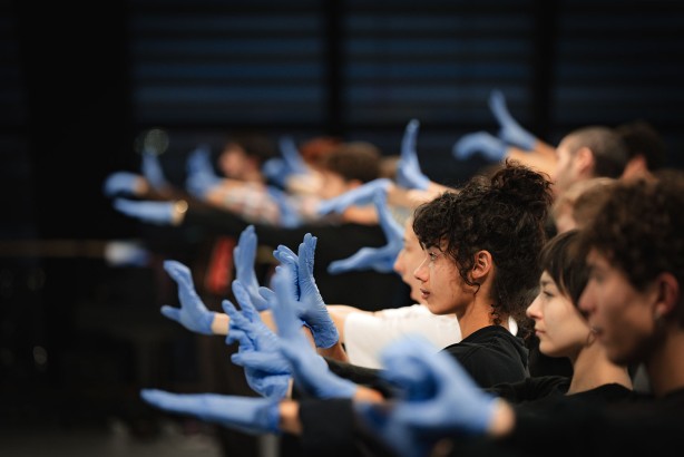 Canine Jaunâtre 3 – Opéra national de Lyon